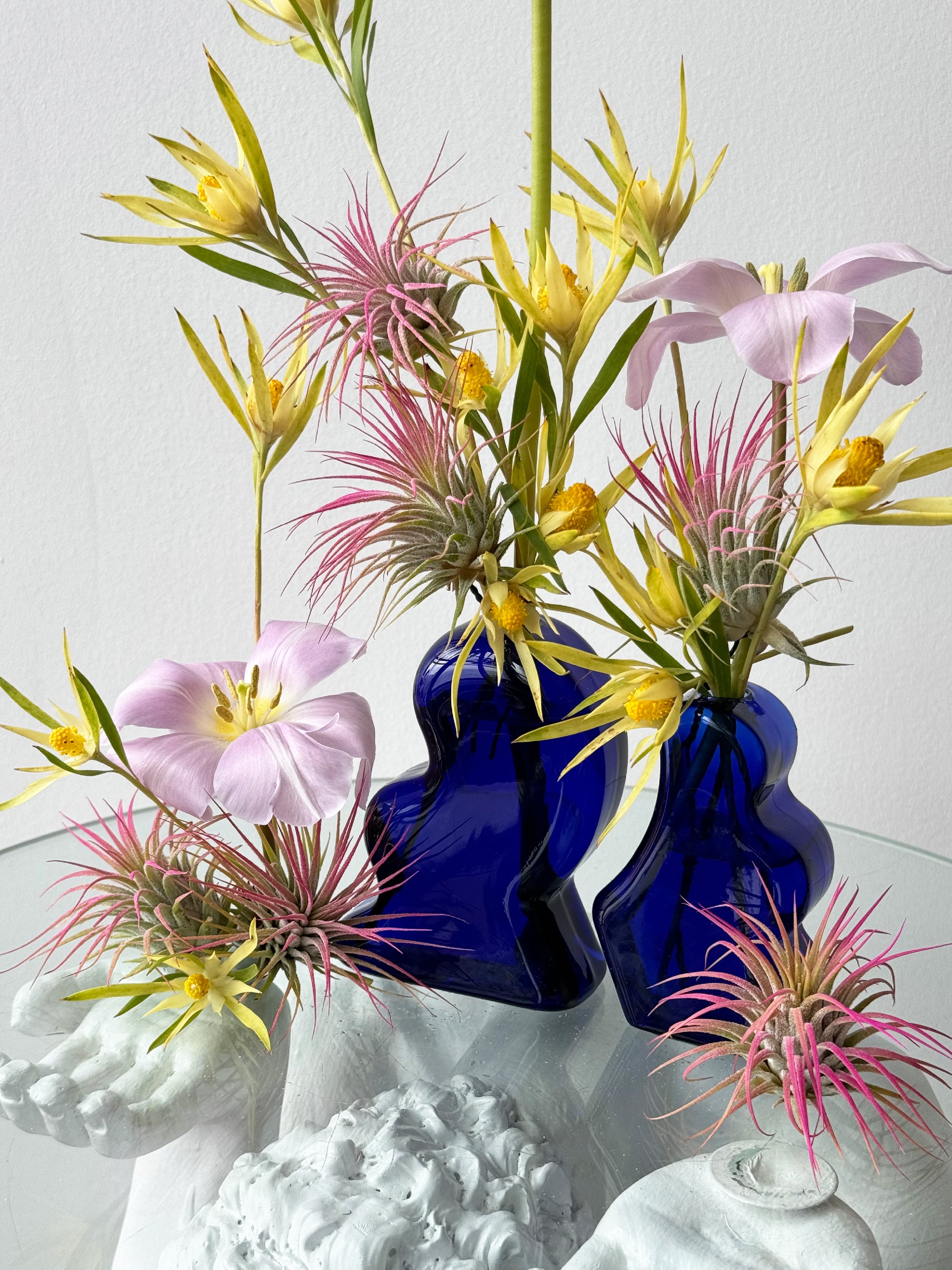 Manu Nanu x Kabuki NY